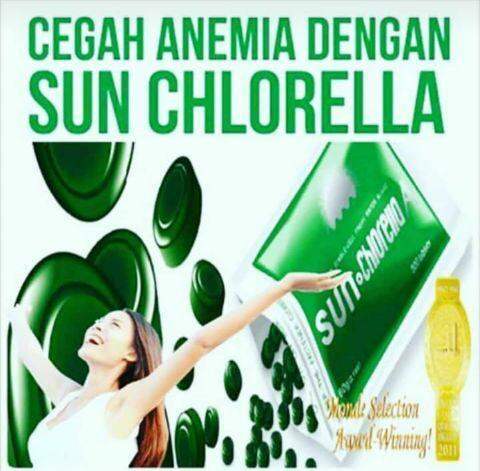 Sun Chlorella isi 30 tablet by CNI | Lazada Indonesia