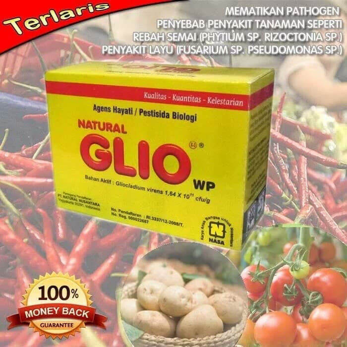 Glio Nasa Pestisida pengendali Hama perusak Akar pengendali Jamur merugikan tanaman | Lazada ...