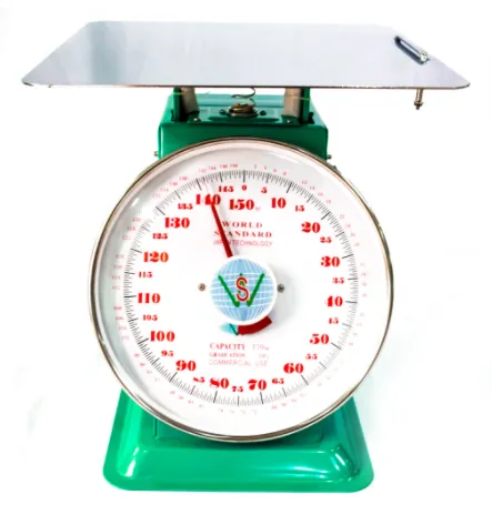 World Standard 150kg Heavy Duty Stainless Steel Flat Plate Spring ...