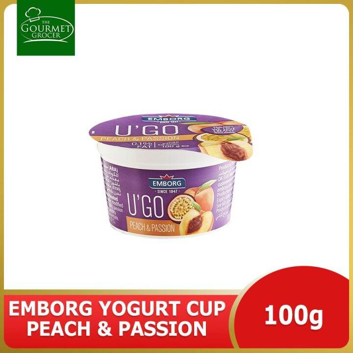 Emborg UGO Flavored Yogurt 100g | Lazada PH