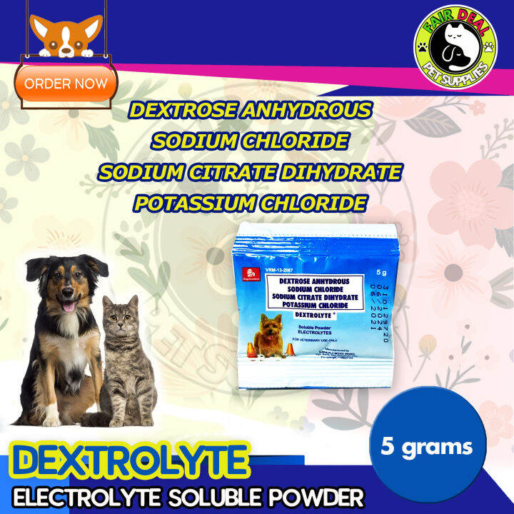 DEXTROLYTE Soluble Powder 1 Sachet(5 grams) | Lazada PH