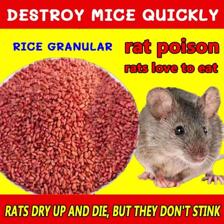 【READY STOCK】 ♟20 packs No effect 10 times refund.rat killer poison for ...