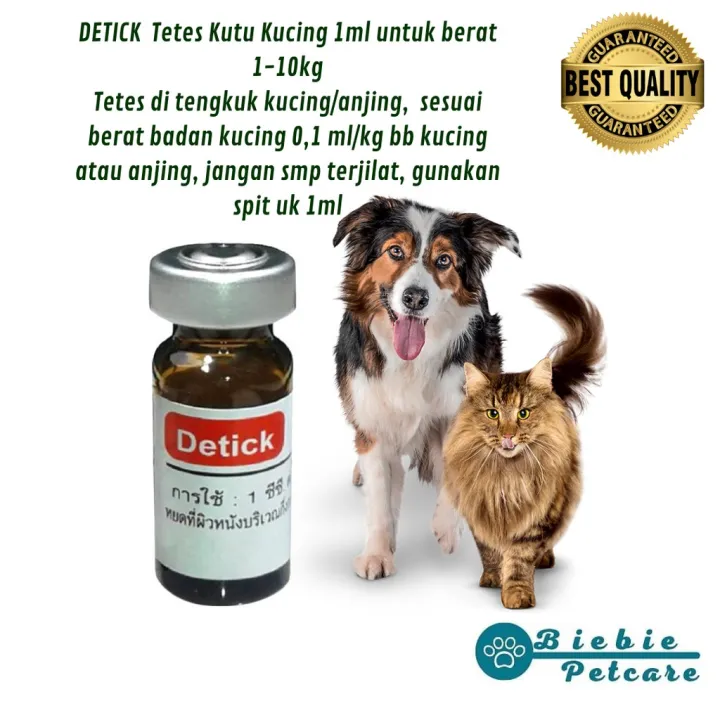 Detick Obat kutu kucing/obat kucing | Lazada Indonesia