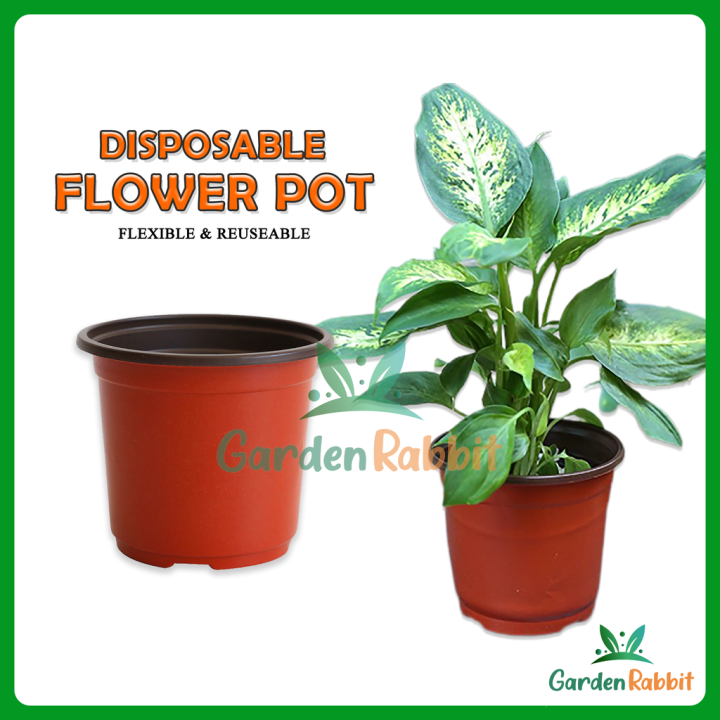 Disposable Nursery Plastic Flower Plant Pot Plastic Semaian Seedling ...