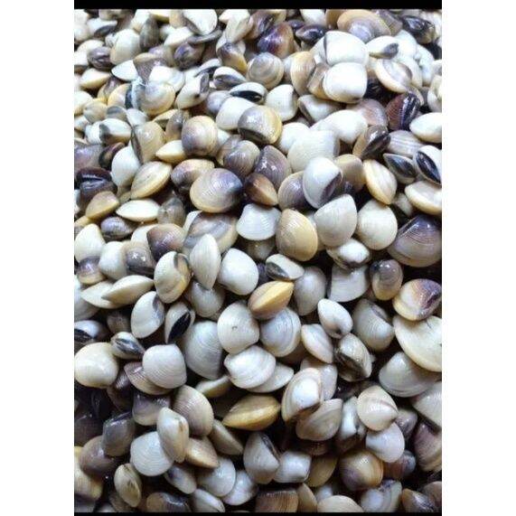 Mga inumin / pulbos FRESH SEAFOODS HALAAN 1kg | Lazada PH