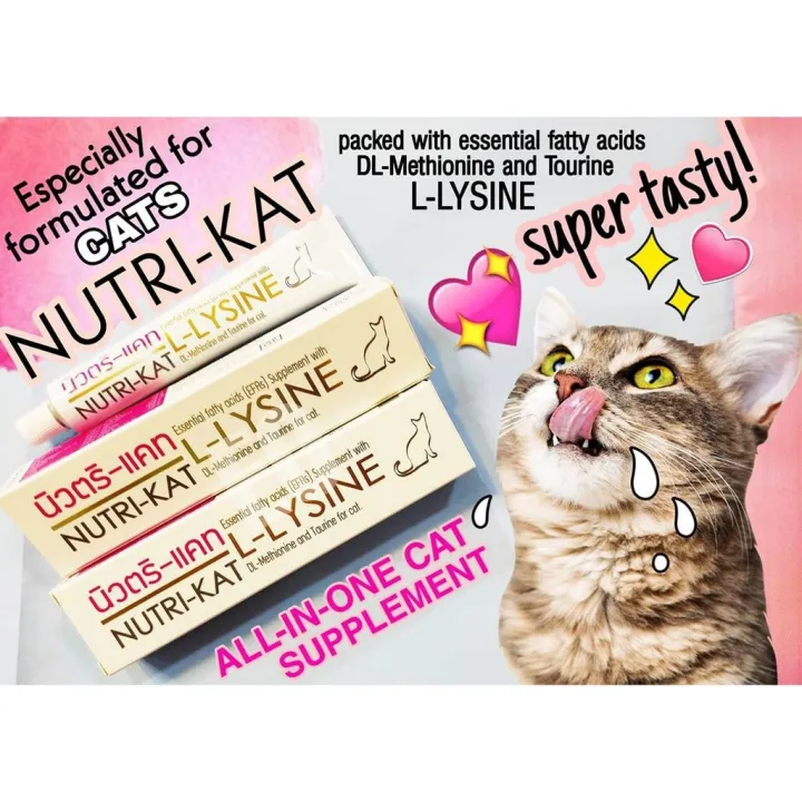NUTRI-KAT Gel Supplement for Cat and Kitten 30g Nutricat Nutrikat Nutri ...