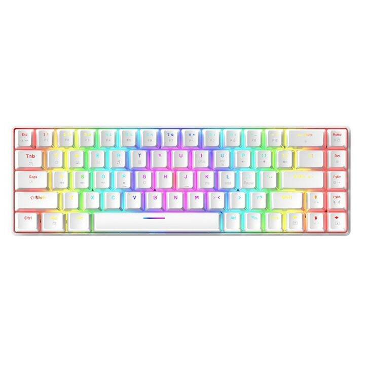 ZIYOU LANG Wired Gaming Mechanical Keyboard 68 Keys with Cool Rgb ...