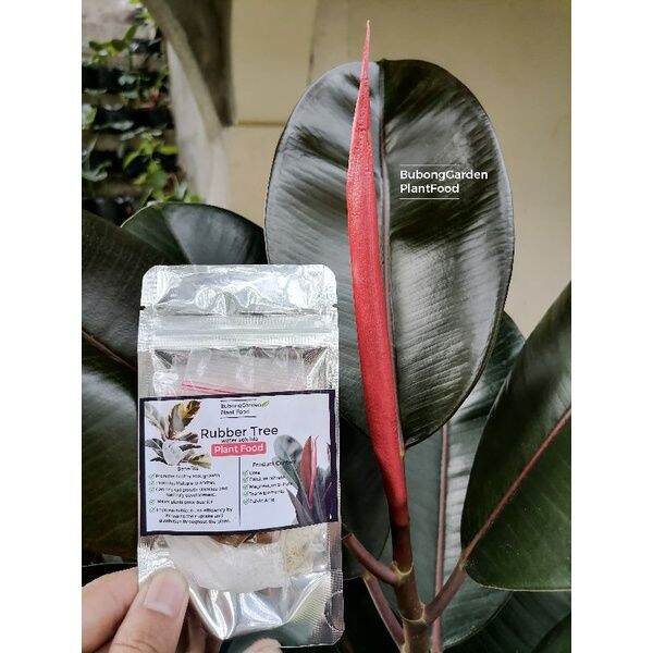Rubber Complete Fertilizer durable | Lazada PH