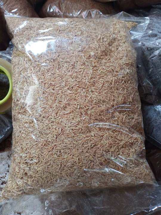 1kg Fresh Rice Hull l FRH Best for your Plants Best Deal On Sale\ Rice ...
