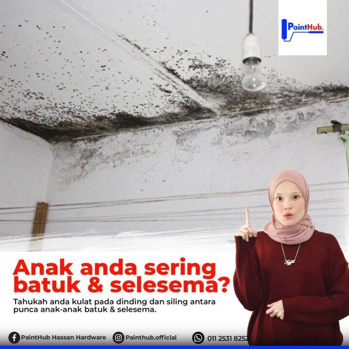 CAT SILING PREMIUM || Original Nippon Paint Perfect White 20 Liter ...