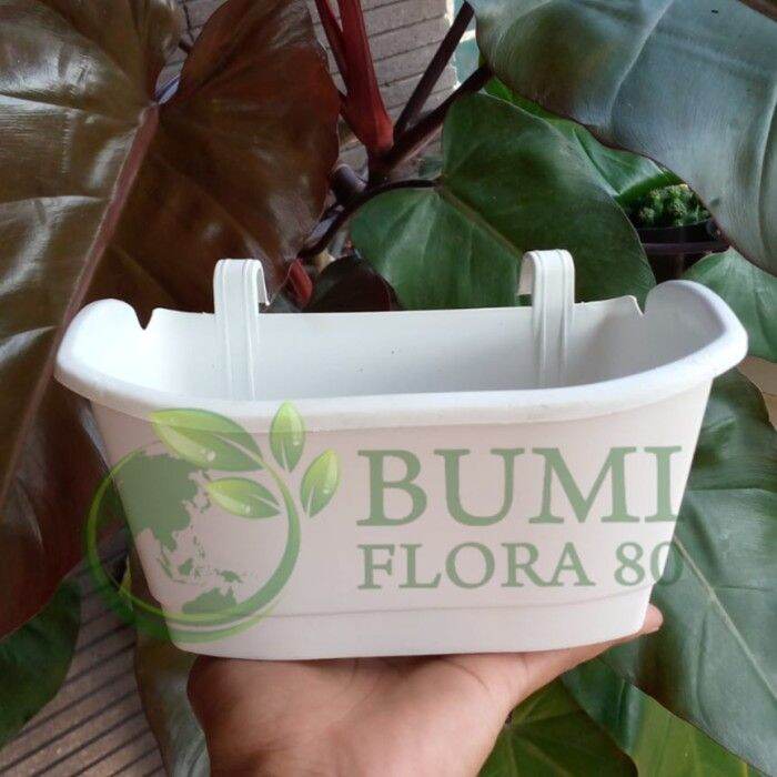 Pot Dinding TIP 17 M/ Pot Tempel/ Pot Bunga/ Pot Cantik | Lazada Indonesia