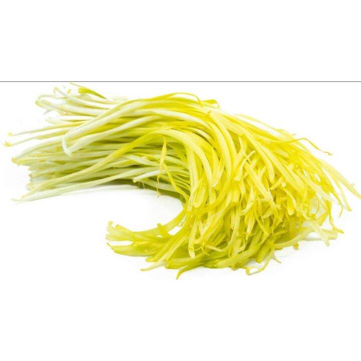 Yellow Chinese Chives Kuchay / Kutsay Variety Vegetable Seeds ( 2000 ...