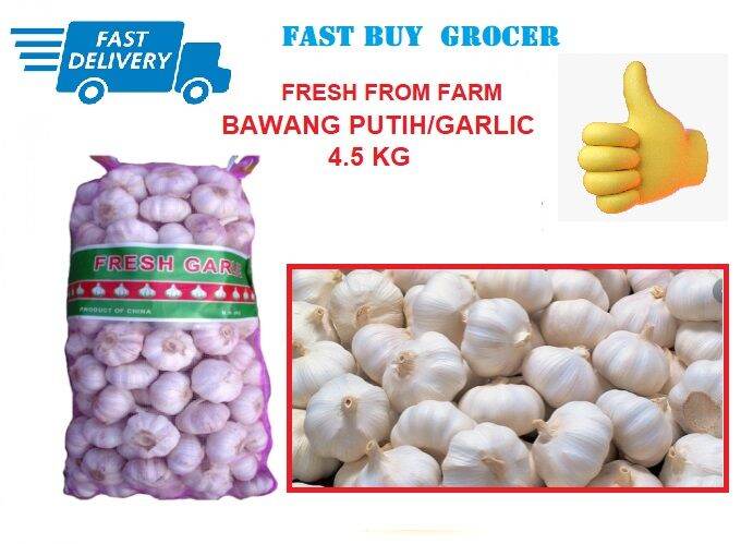 BAWANG PUTIH 10KG | Lazada