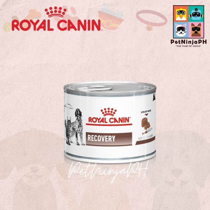 Royal Canin Recovery Veterinary Diet Can 195 g | Lazada PH