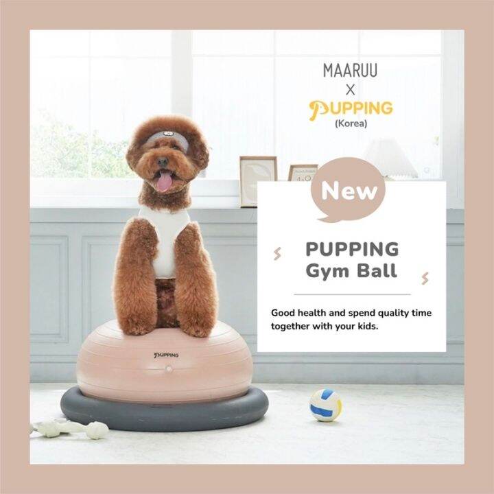 Pupping Gymball ( Dog balancing ball ) ( ลูกบอลโดนัท สำหรับออกกำลังกายของสุนัข น้องหมา ) ( บาลาน ...