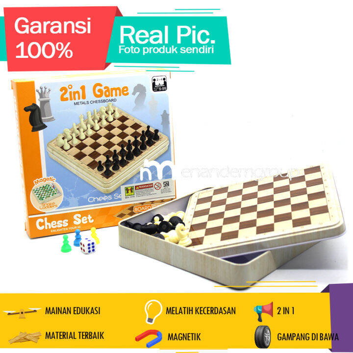 2 in 1 Catur & Ular Tangga Game Mainan Edukasi Magnetik Papan Besi Box ...