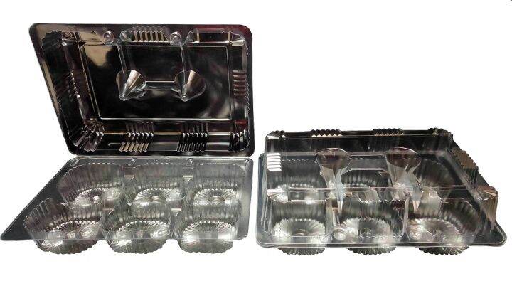 C40 Clamshell (10 pcs. per pack) | Lazada PH