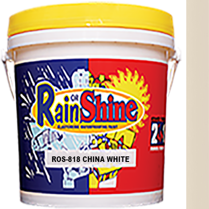 Rain or Shine Elastomeric Paint China White Gallon | Lazada PH