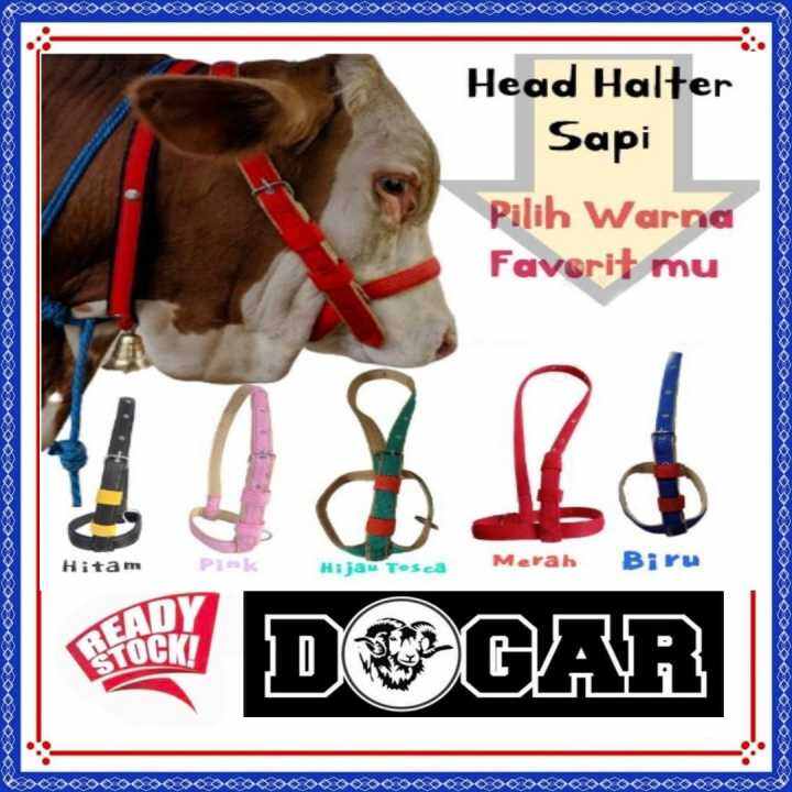 HEAD HALTER SAPI ,KAMBING (WARNA) - TERSEDIA UKURAN S, M, L ,XL | Lazada Indonesia