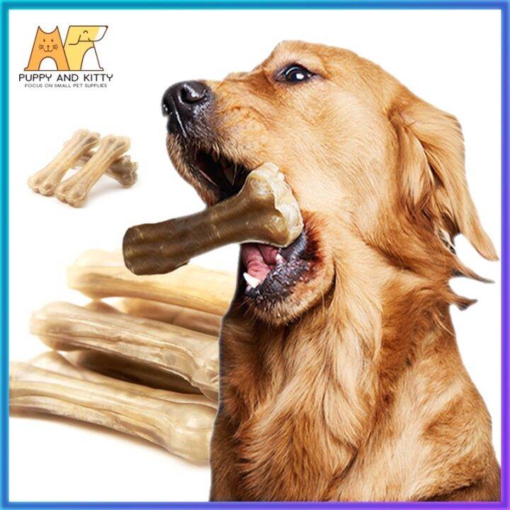Dog Chew Bones Cowhide Griding Molar Teething Bone Chewing Cowhide ...