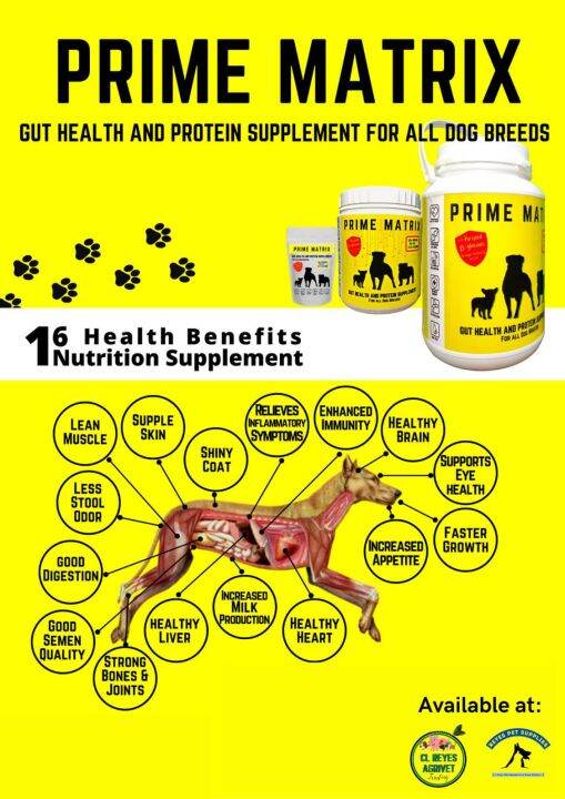[VETKLIX] 2pcs PRIME MATRIX 200g Gut Health and Protein Supplement for ...