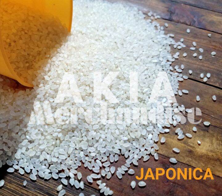 5kg JAPONICA Japanese Rice (SACK) | Lazada PH
