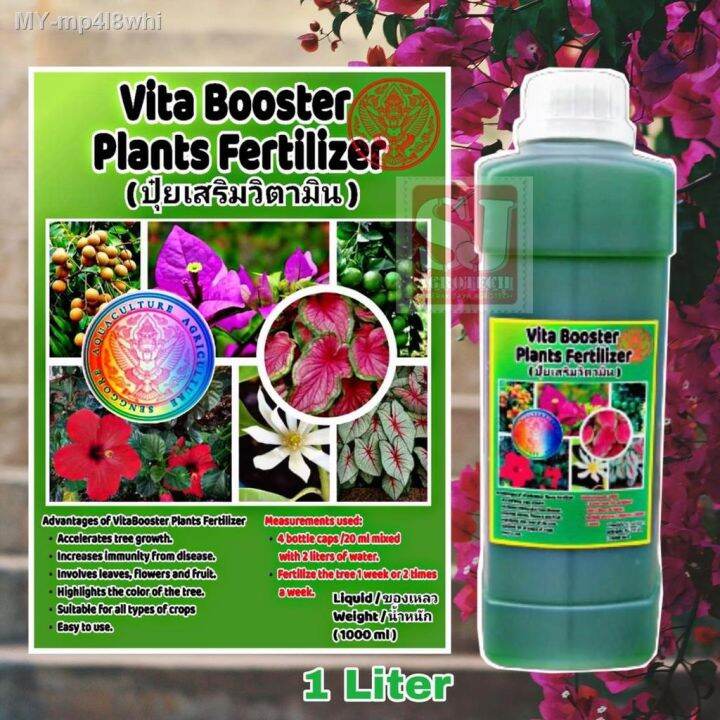 lauch promo [1 Liter-200g] Vitamin Siam/Baja Booster/Baja Buah/Baja ...