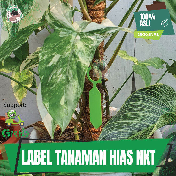 Label Tanaman Hias Cocok untuk Tanaman hias Macam Warna Dan cantik ...