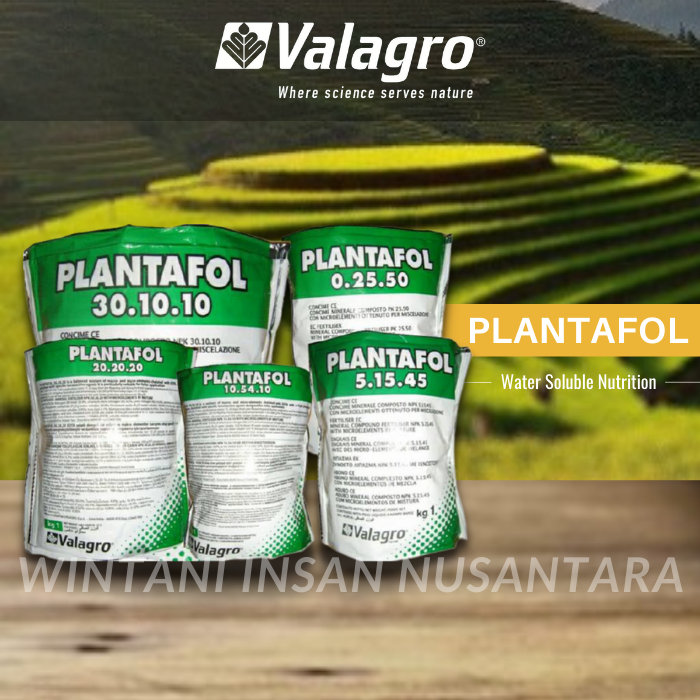 Pupuk NPK - Pupuk Padat Valagro PLANTAFOL 0.25.50 isi 1 Kg | Lazada Indonesia