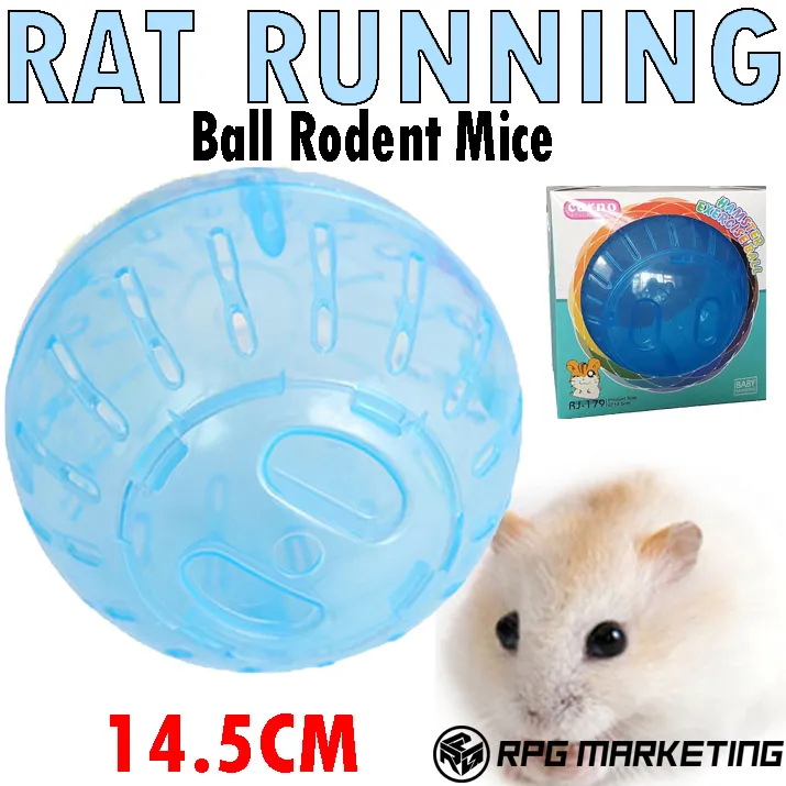 14.5cm white rat Running Ball Rodent Mice Jogging Hamster Gerbil Rat ...