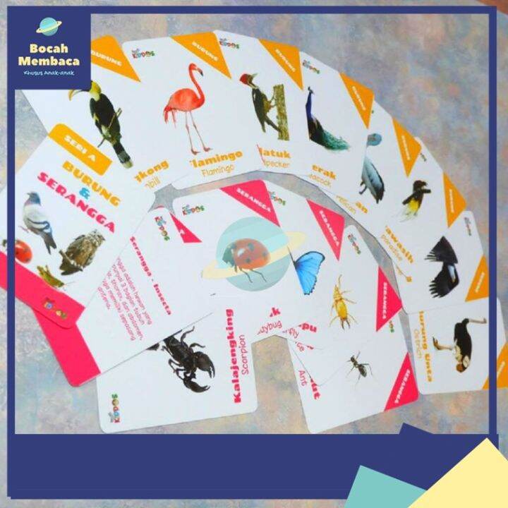 Flash Card Smiling Kiddos Flashcard Burung dan Serangga Edukasi Balita ...