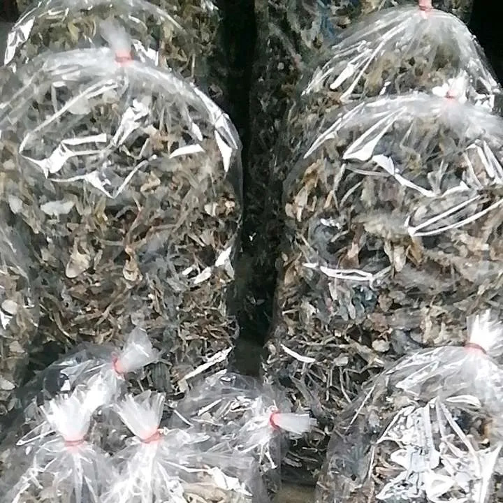 เขียดตากแห้ง500g.499.- | Lazada.co.th