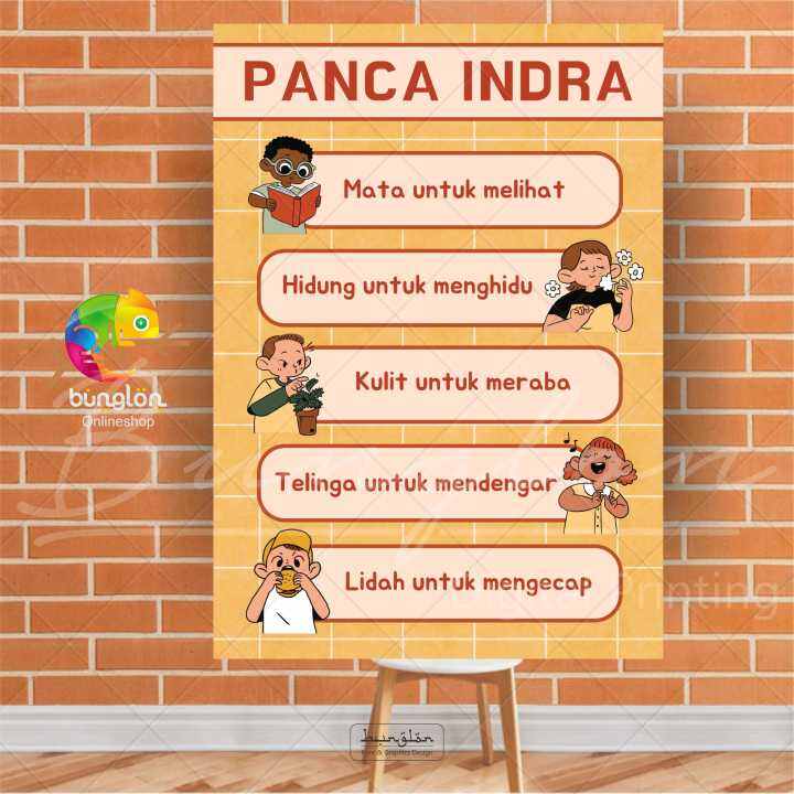 Poster Edukasi Panca Indra | Lazada Indonesia