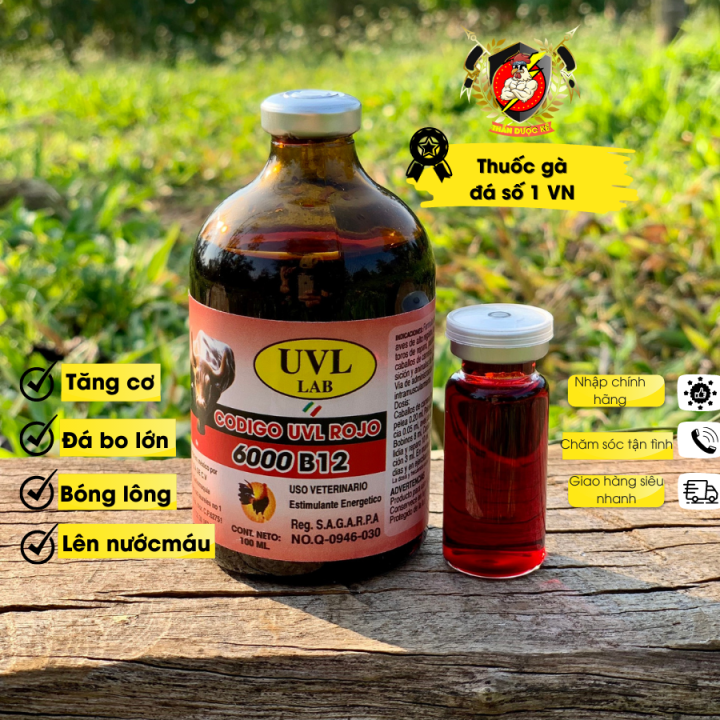 Thuốc nuôi gà đá thuốc gà đá B12 6000 UVL tốt nhất dòng B12 cung cấp ...