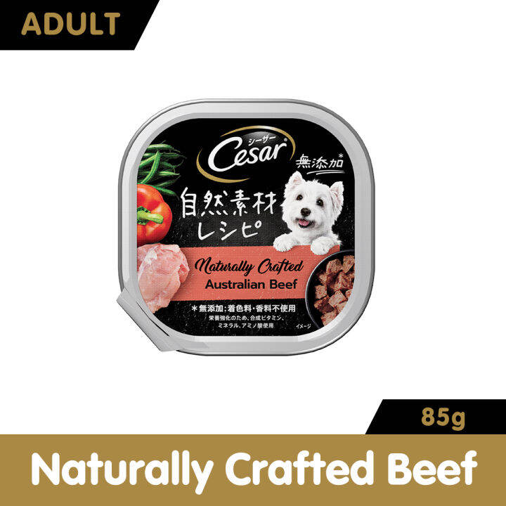 Cesar Naturally Crafted Premium Wet Dog Food In Australian Beef Flavor ...