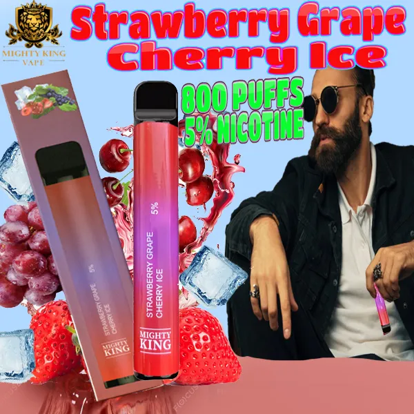 LEGIT MIGHTY KING Puff Plus smoke vaper full set (800 Puffs ...