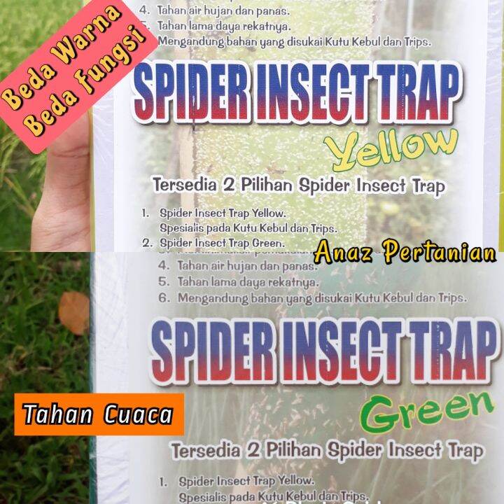 Spider Insect Trap 100 Lembar Lem Perangkap Kutu Kebul Thrips Hama ...