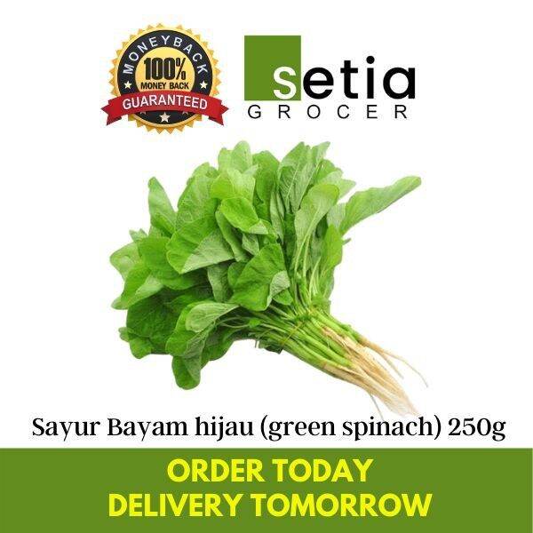 Bayam hijau (green spinach) 250g | Lazada