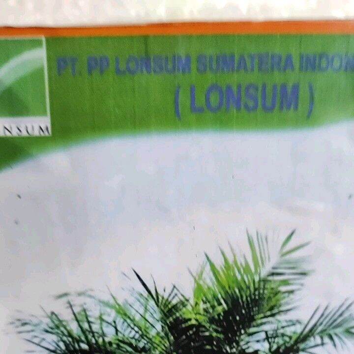 Bibit benih polong sawit unggul LONSUM UNGGUL isi 250 butir / kecambah ...