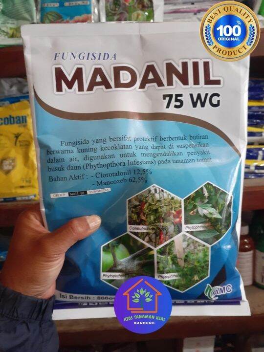 COD Fungisida Madanil 75 WG 2 Bahan Aktif Mancozeb Clorotalonil 800 ...