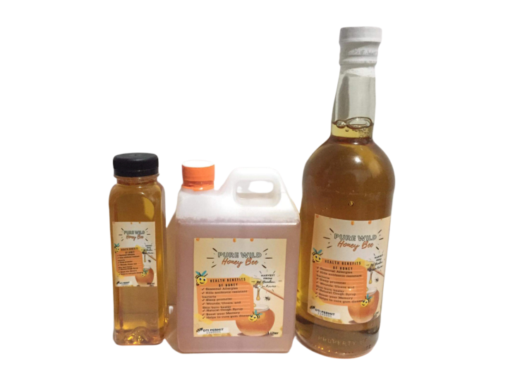 PURE WILD HONEY BEE (LIGWAN) LIGHT HONEY | Lazada PH