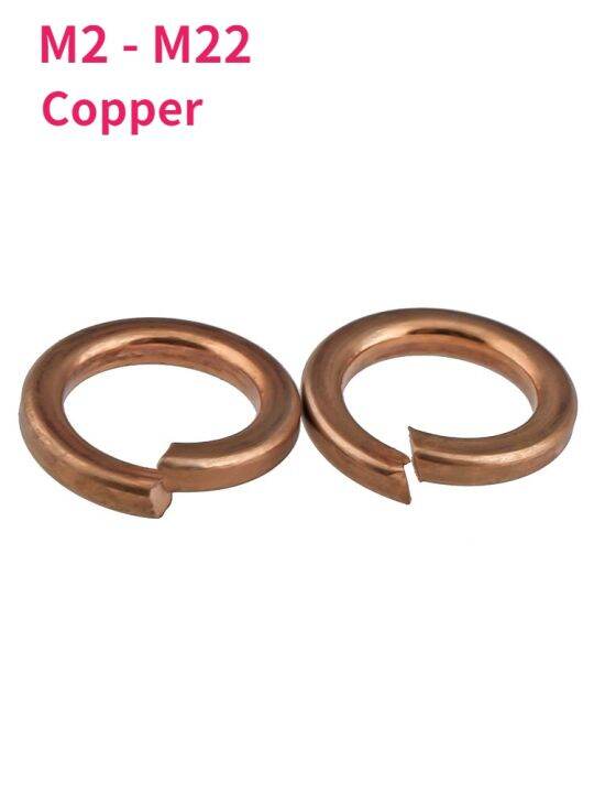 Brass Spring Washer | Lazada PH