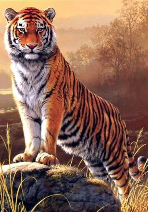 POSTER JUMBO UKURAN 100 X 70 CM TEMA HARIMAU / LUKISAN CETAK HARIMAU ...