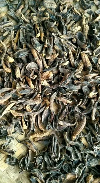 Krupuk Tripang / Blonyo Mentah tanpa bumbu (original) khas Sidayu ...