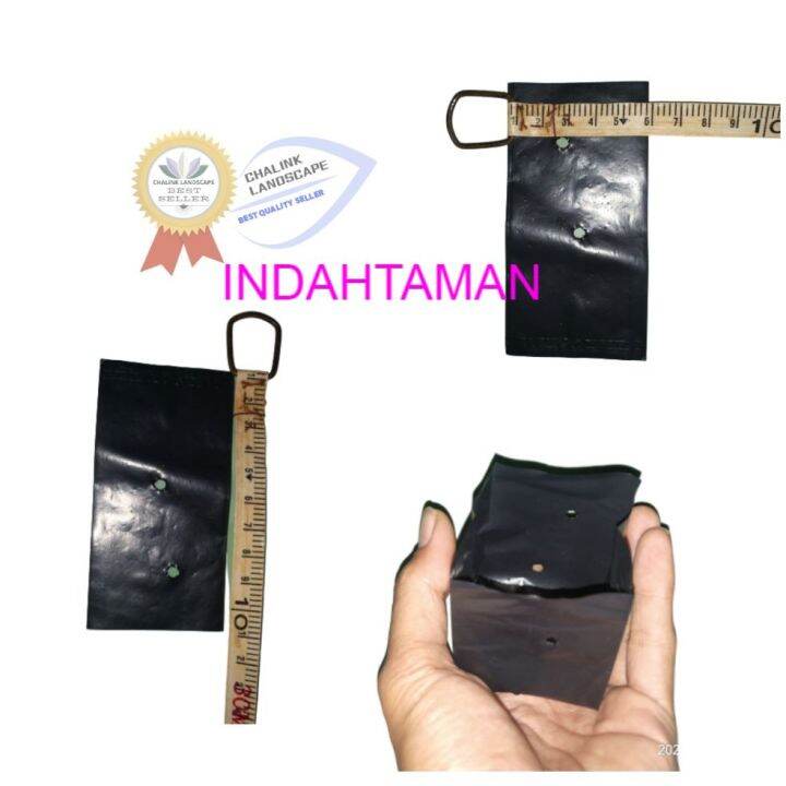 Polybag ukuran 10 per 500 g (setengah kg) / polybag paling kecil ...
