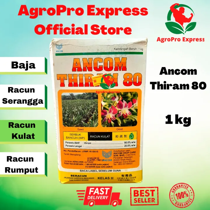 Ancom Thiram 80 1KG Racun Kulat Fungicide Thiram 80% | Lazada