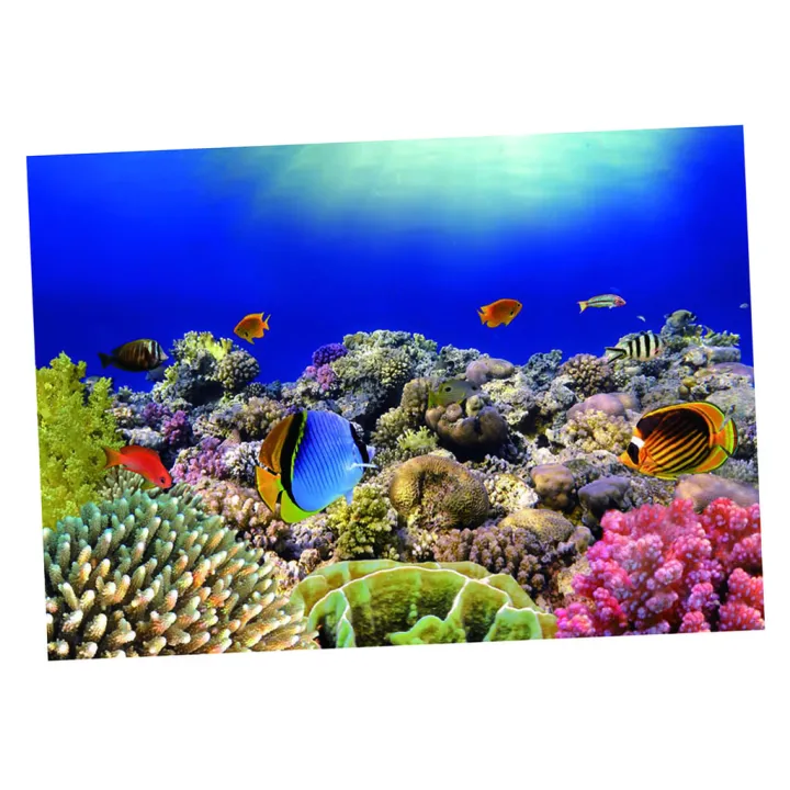 Miracle Shining Self-adhesive 3D Printing Fish Tank Sticker Aquarium ...