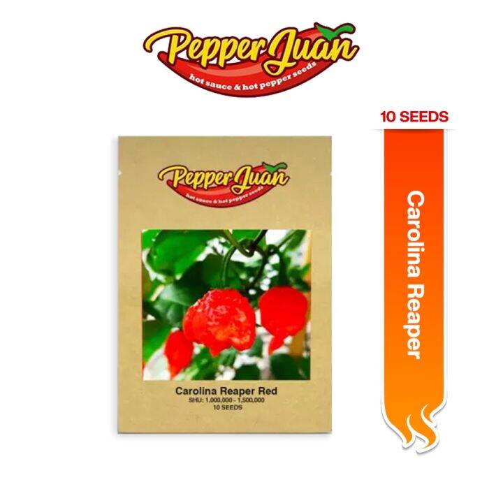 Red Carolina Reaper Pepper Seeds (World's Hottest Pepper) | Lazada PH