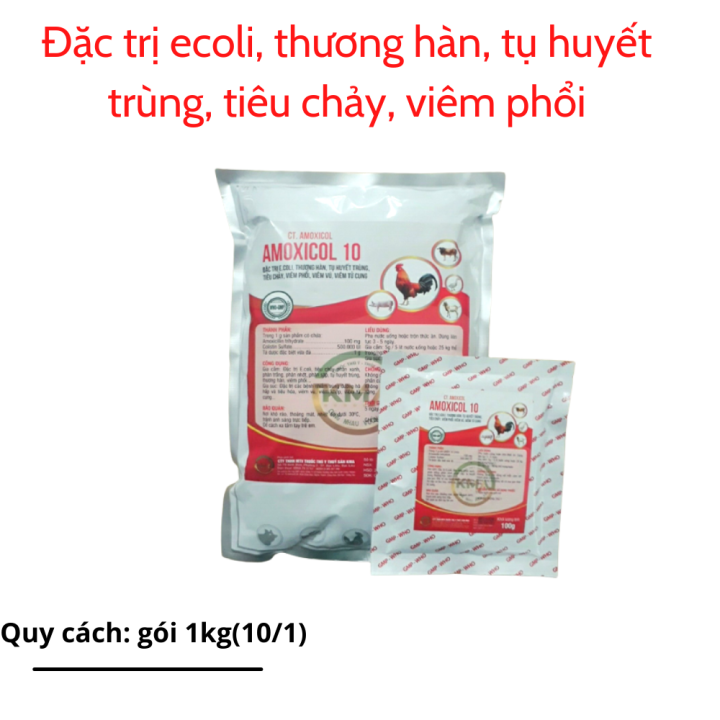 amoxicol 10 - ngăn ecoli, thương hàn, tụ huyết trùng, tiêu chảy, viêm ...
