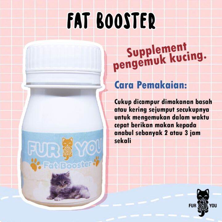 Fat booster pengemuk kucing kucing gemuk obat gemukin kucing | Lazada ...